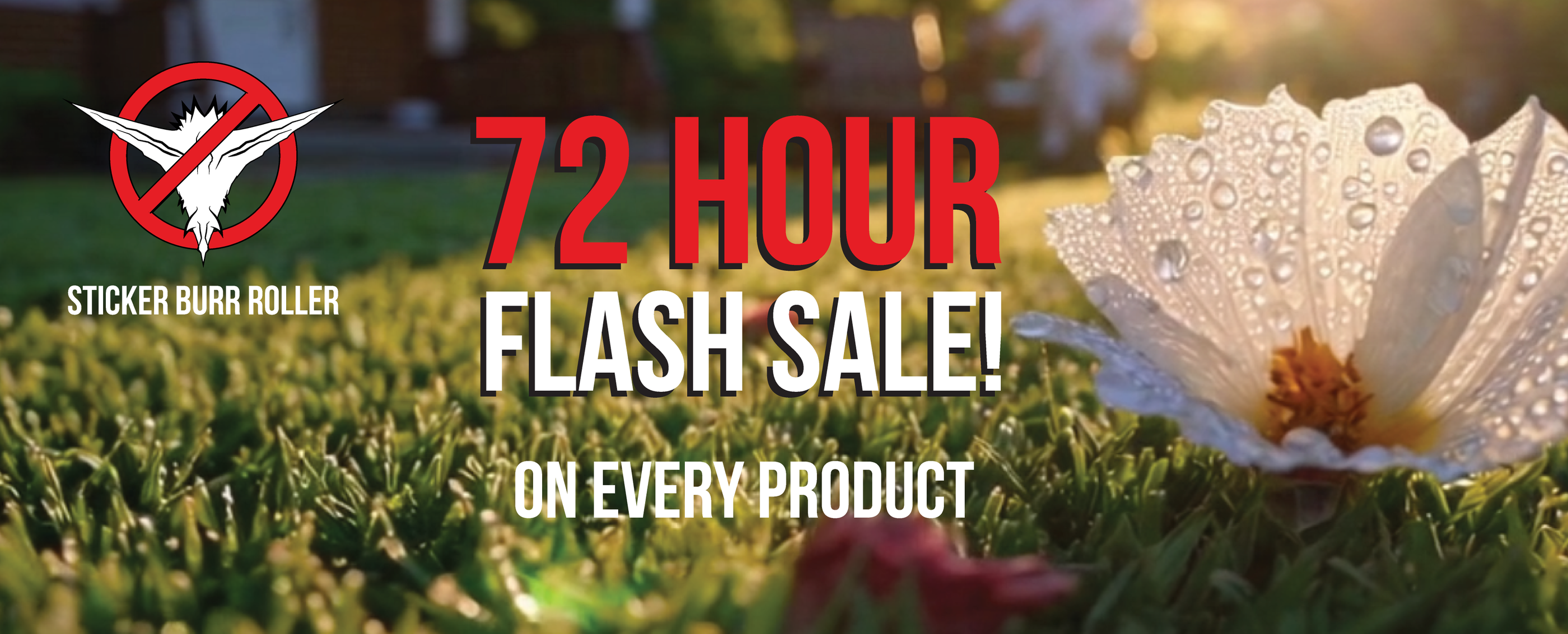 The Sticker Burr Roller, The Best Goat Head & Grass Burr Remover