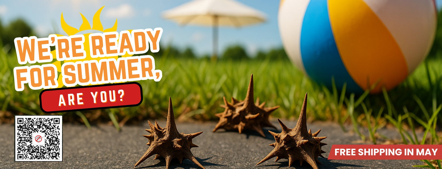 The Sticker Burr Roller, The Best Goat Head & Grass Burr Remover